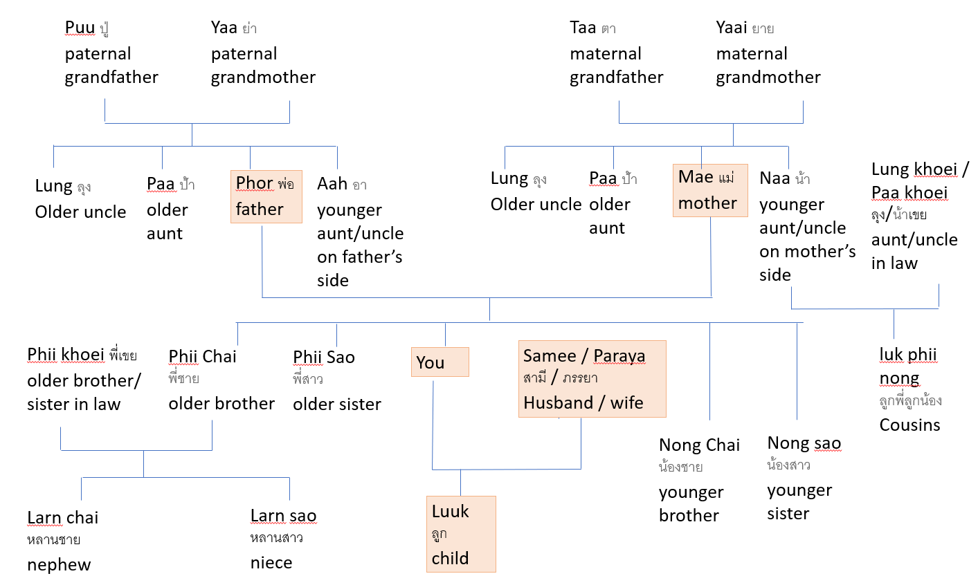 Thai Vocab Related To Family (Family Tree In Thai Language)